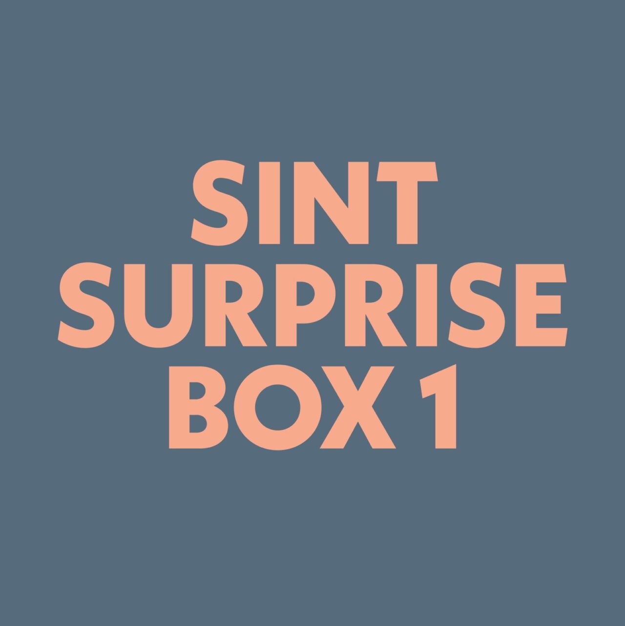 SINT SURPRISE BOX 1 | CollectivWarehouse